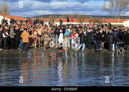 First swim of the year Frontignan beach. Beach Seagulls. Frontignan ...