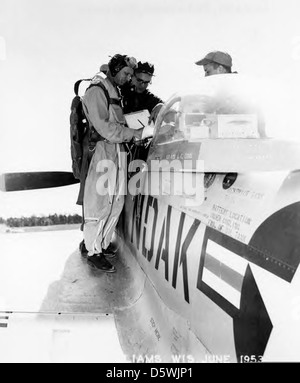 The North American F-51D 'Mustang' of the 119th Fighter Wing, known as ...