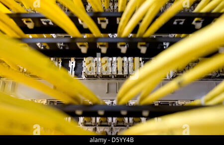 Network cables are pictured in a server room in Berlin, Germany, 05 ...