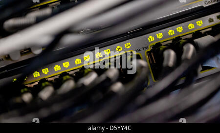 Network cables are pictured in a server room in Berlin, Germany, 05 ...