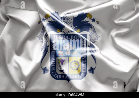 Flag of Aguascalientes, Mexico Stock Photo - Alamy