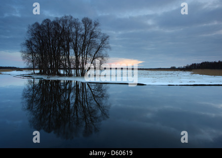 River Emajõgi at Palupõhja, Alam-Pedja Nature Reserve, Estonia Stock ...