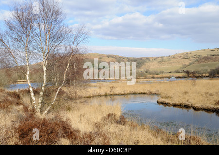 Cors Caron Nature Reserve Tregaron Ceredigion finest example of a ...