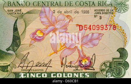 Costa Rica 5 Five Colones Bank Note Stock Photo - Alamy