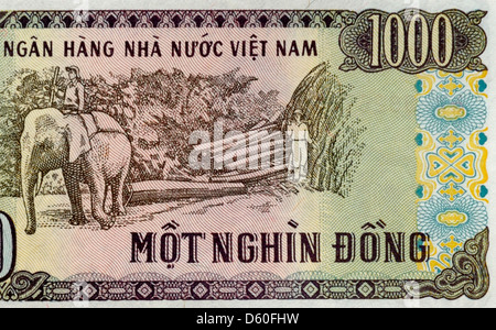 1000 dong bank note of Vietnam. Dong is the national currency of ...