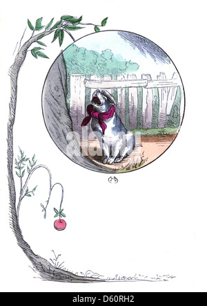 An 1860 illustration from 'The Nine Lives of a Cat: A Tale of Wonder ...