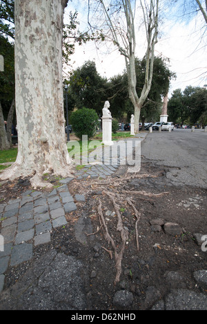 A sidewalk damaged by a tree root in the Gramercy Park neighborhood of ...