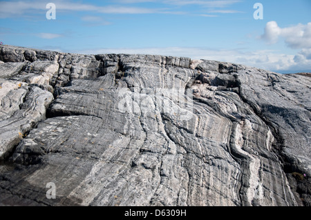 A large stone on the background of mountains with trees Stock Photo - Alamy