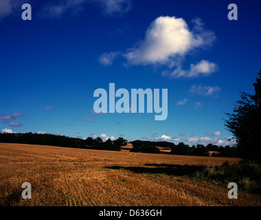 Stubble field near the River Ure flowing through the lower part of ...