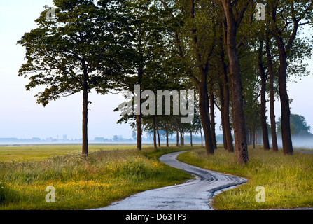 Path between the trees Stock Photo - Alamy