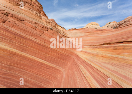 Closeup / abstract view of the iconic Wave - colorful sandstone rock ...