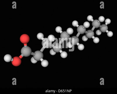 Capric acid molecule Stock Photo - Alamy