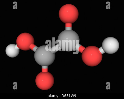 Oxalic acid. Molecular model of the organic compound oxalic acid (C2.H2 ...