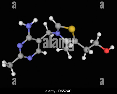 Vitamin B1 (thiamine), molecular model. Atoms are represented as ...