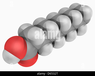 Capric acid molecule Stock Photo - Alamy