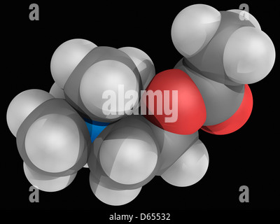 Acetylcholine molecular model Organic compound neurotransmitter in ...