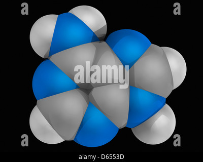 Adenine, Molecular model of the purine nucleobase adenine (C5.H5.N5 ...