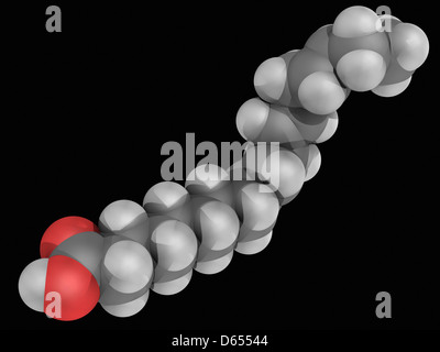 Alpha-Linolenic acid. Molecular model of the omega-3 fatty acid known ...