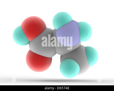 Alanine. Molecular model of the amino acid alanine (C3.H7.N.O2 ...