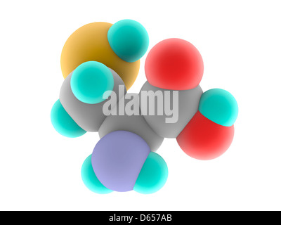 Cysteine. Molecular model of the amino acid cysteine (C3.H7.N.O2.S ...