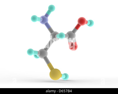 Cysteine. Molecular model of the amino acid cysteine (C3.H7.N.O2.S ...