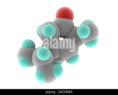 Thujone absinthe molecule, chemical structure. Skeletal formula Stock ...