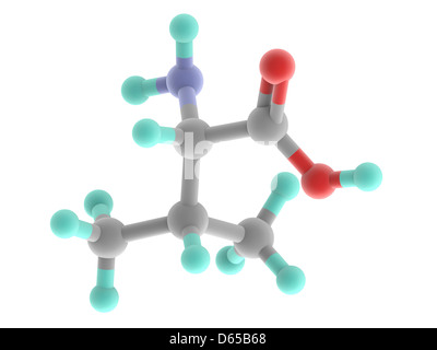 Valine. Molecular model of the essential alpha-amino acid valine (C5 ...