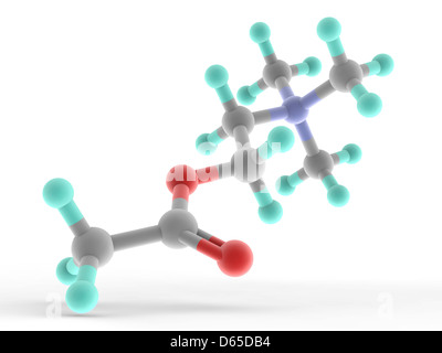 Acetylcholine neurotransmitter molecule, illustration Stock Photo - Alamy