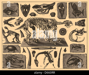 The Brockhaus and Efron Encyclopedic Dictionary remains one of the most ...