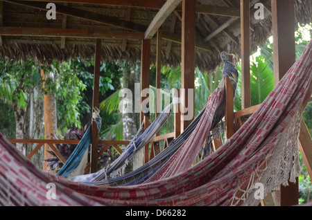Hammocks at a jungle lodge in the Amazon rainforest Stock Photo - Alamy