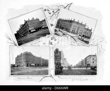 The City Hall of New York, 1894 Stock Photo - Alamy