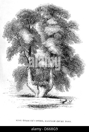 This image is from 'A Summer's Day at Hampton Court' (1839), showing a ...