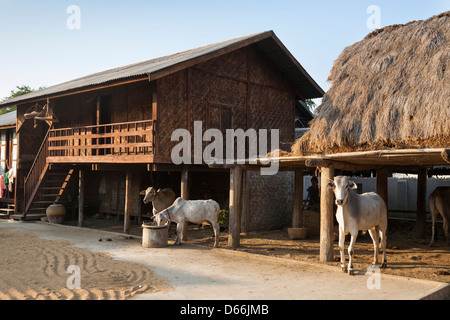 Farmyard, Yay Kyi village, Mandalay, Myanmar, (Burma Stock Photo - Alamy