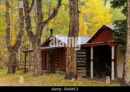 Cabins with autumn foliage, Vicksburg ghost town, Sawatch Mountains ...
