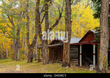 Cabins with autumn foliage, Vicksburg ghost town, Sawatch Mountains ...