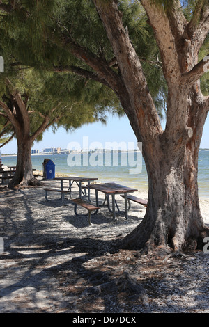 A park with trees and picnic tables on a sunny day Stock Photo - Alamy