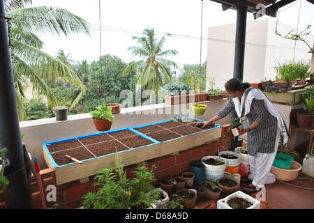 Indian Vani Murthy grows plants in her composted household waste in ...