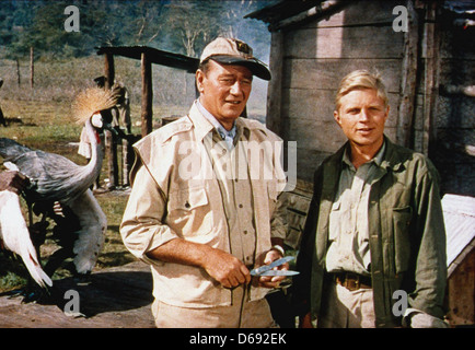 Hatari Hatari John Wayne Sean Mercer (John Wayne,v) ist der Chef Stock ...