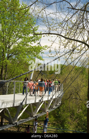 A panoramic view of the Liberty Bridge crossing the Reedy River Falls ...