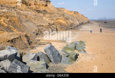 Rapidly eroding soft cliffs at Walton on the Naze, Essex, England Stock ...
