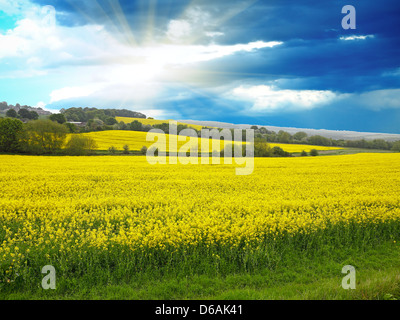 Rural spring landscape Stock Photo - Alamy