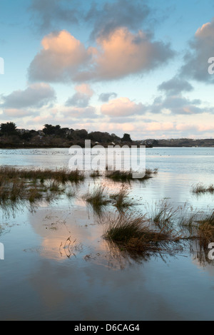 View of Hayle estuary, West Cornwall Stock Photo - Alamy