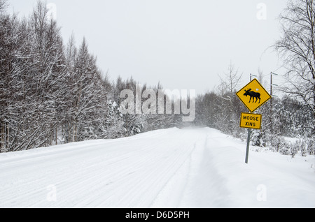 Moose crossing sign, Anchorage, Alaska Stock Photo - Alamy