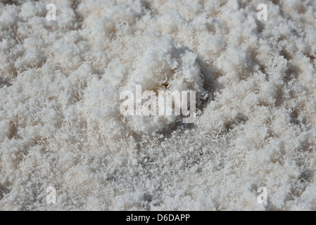 White crystals of halite salt at Badwater Basin. Death Valley National ...