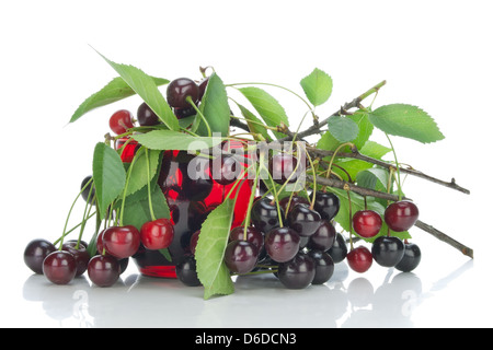 Branches with sweet red cherries and green leaves. Cherry tree Stock ...