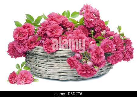 Pink roses in basket Stock Photo - Alamy