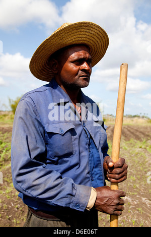 Cuban farmer, closeup portrait of face, senior male, Cuba Stock Photo ...