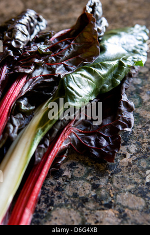 Swiss Chard, silverbeet, perpetual spinach, spinach beet, crab beet ...