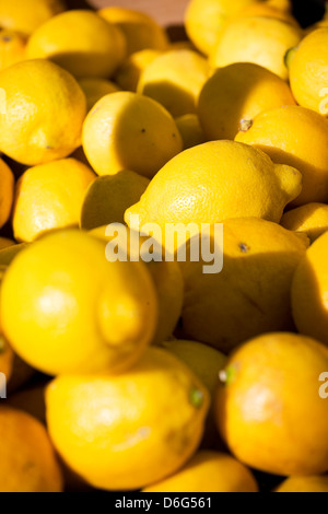 Lemons in the sunshine Stock Photo - Alamy