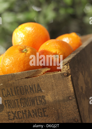 box of fresh oranges Stock Photo - Alamy